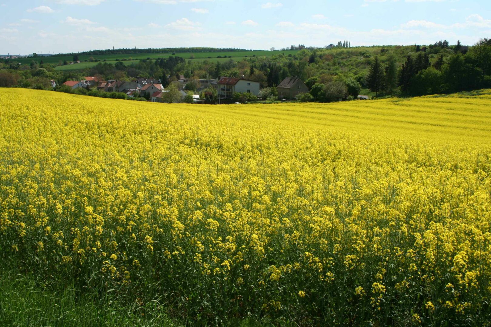 Sucho z pohledu terénního hydrogeologa | Energie 21 - časopis o ...